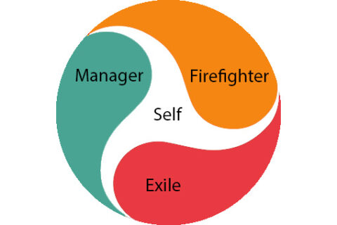 IFSANZ - Mind Beyond | IFS Australia & New Zealand